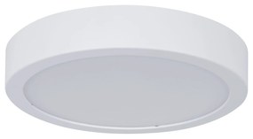 Paulmann 78924 Aviar, bílé koupelnové svítidlo, 13W LED 4000K stmívatelné, prům.22cm, IP44