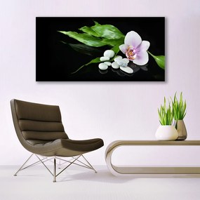 akrylový obraz Květ Kameny Listí 120x60 cm