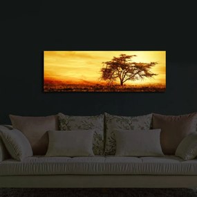 Obraz s LED osvětlením STROM V ZÁPADU SLUNCE 27 30 x 90 cm