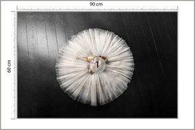 Fototapeta Baletní Boty Na Bílém Tutu Strukturální vinyl 270x180