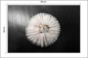 Fototapeta Baletní Boty Na Bílém Tutu Hladký vinyl 405x270