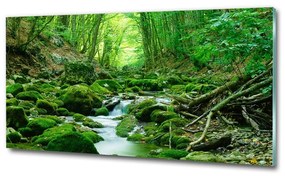Wallmuralia Fotoobraz na skle Pramen v lese 100x50