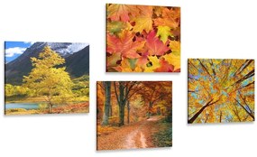Set obrazů podzimní příroda v nádherných barvách - 4x 60x60 cm