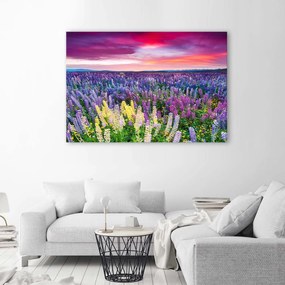 Gario Obraz na plátně Louka v květech Rozměry: 60 x 40 cm