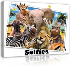 Obraz 80x60 Selfie zvířata Afrika safari žirafa slon lev zebra humor