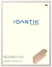 DANTIK rámeček 60x80 | KASSETTE šedá (Plexi Čiré)