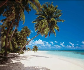 Komar Vliesová fototapeta Maldives 300 x 250 cm
