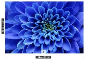 Fototapeta Modrý květ 104x70