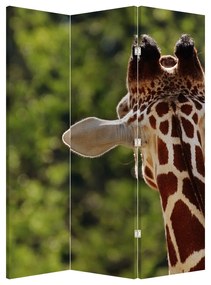 Paraván - Žirafa zezadu (126x170 cm)
