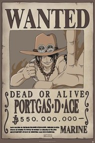 Plakát, Obraz - One Piece - Wanted Ace, (61 x 91.5 cm)