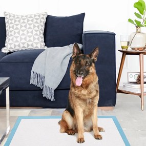 Costway Výcviková podložka pro psy puppy pad puppy hygienické podložky 150 kusů