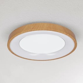 Brilagi - LED Stmívatel. svítidlo DORIA LED/60W/230V 3000-6500K pr. 60 cm + DO