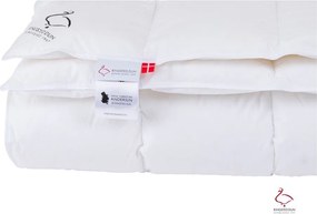 Celoroční přikrývka s péřovou výplní 200x220 cm Snow Queen – Ringsted Dun