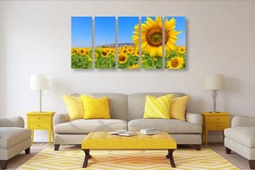5-dílný obraz pole slunečnic - 200x100 cm
