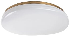 Rabalux 75053 - LED Koupel. stropní svítidlo CALIOPE LED/24W/230V IP44 pr. 41 cm