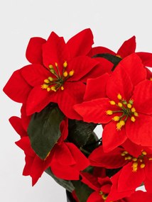 Sinsay - DECORATIVE PLANT - vícebarevná