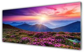 akrylový obraz Hora Louka Květiny Krajina 125x50 cm