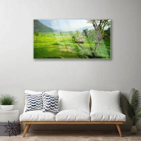 akrylový obraz Louka Příroda 100x50 cm