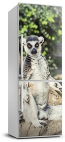 Wallmuralia Samolepící nálepka na ledničku stěnu Lemur 60x180 cm
