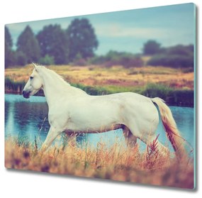 Skleněné deska do kuchyně Bílý kůň u jezera 60x52 cm