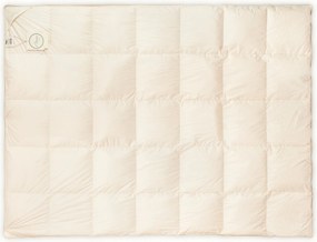 Přikrývka tenká letní Amz organická Cotton 200x220