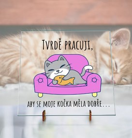 Ahome CZ Dekorační skleněná deska - Tvrdě pracuji. Barevná kočka