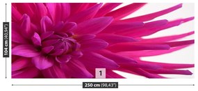 Fototapeta Dahlia Pink 104x70