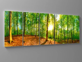 Liox Obraz les Rozměr: 125 x 50 cm