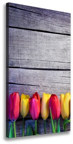Wallmuralia Vertikální Foto obraz na plátně Barevné tulipány 50x100