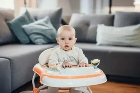 FreeON Chodítko interaktivní Fancy / od 6 měsíců / do 11 kg