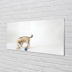 Obraz na skle Hrát s tím psem 125x50 cm