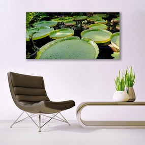 Plexisklo-obraz Listy Jezero Příroda 120x60 cm