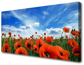 Obraz na plátně Louka Máky Květiny 100x50 cm