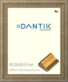 DANTIK rámeček 40x50 | KŘÍDLO malé zlaté patina (Sklo Čiré)