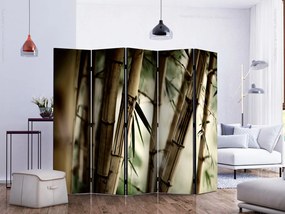 Pokojová zástěna Mlha a bambusový les II (5-dílný) - bambusové tyčky v lese