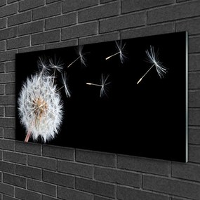 Obraz na skle Pampeliška Květiny Příroda 125x50 cm
