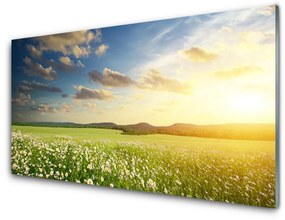 Obraz na skle Louka Květiny Krajina 100x50 cm