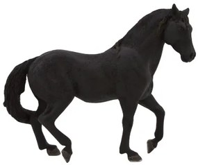 Mojo Andaluský černý kůň