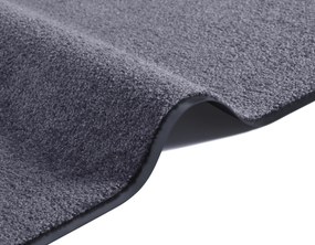 Hanse Home, Rohožka Wash & Clean 101464 Grey, 40x60, šedá, chodba / předsíň