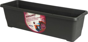 Plastia Truhlík samozavlažovací Bergamot - antracit 60 cm