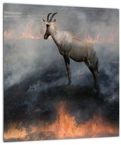 Obraz kamzíka v ohni (30x30 cm)