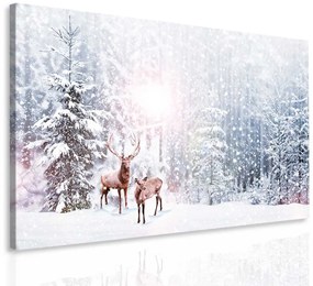 Malvis ® Obraz Jelen v zimě Velikost: 100x60 cm