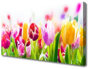Obraz na plátně Tulipány Květiny 100x50 cm
