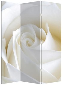 Paraván - Bílá růže (135 x 180 cm)