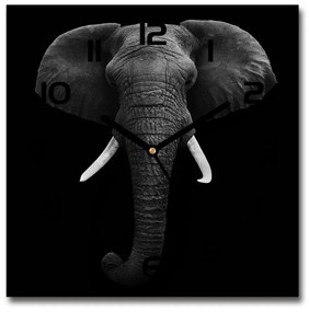 Wallmuralia Skleněné hodiny čtverec Africký slon 30x30 cm