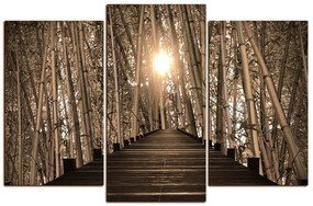 Obraz na plátně - Dřevěná promenáda v bambusovém lese 1172FC (105x70 cm)
