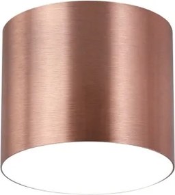 Immax NEO 07319L - LED Stm stropní sv RONDATE 18W/230V 11,5 cm Wi-Fi Tuya rose