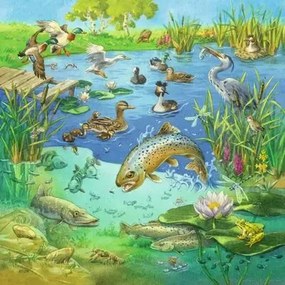 Ravensburger Zvířátka v přírodě / 3x49 dílků / od 5 let