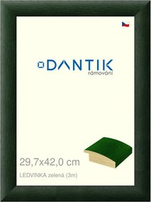 DANTIK rámeček 29,7x42 | LEDVINKA zelená (Plexi Čiré)