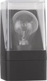 NV 9492740 Venkovní nástěnné svítidlo SELENA antracitový hliník a čirý akryl E27 1x12W 220-240V bez žárovky IP65 - NOVA LUCE